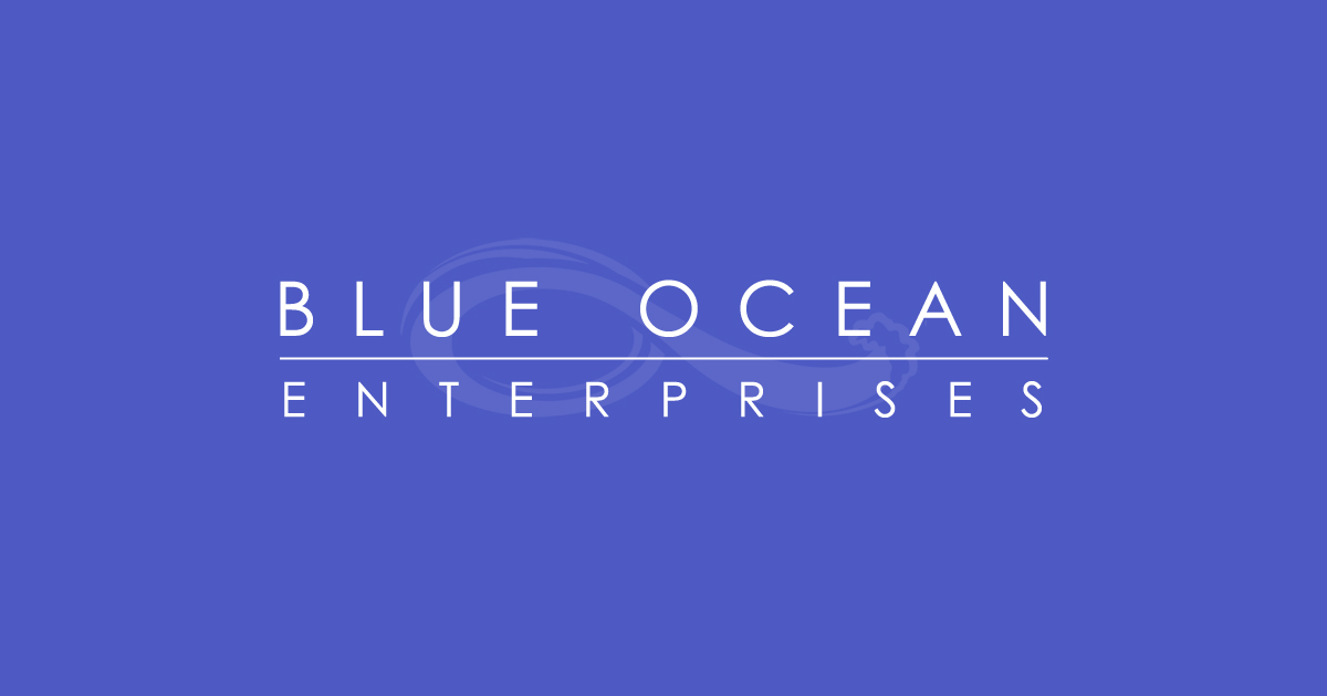 Blue Ocean Enterprises: Investing In Today, Building Tomorrow